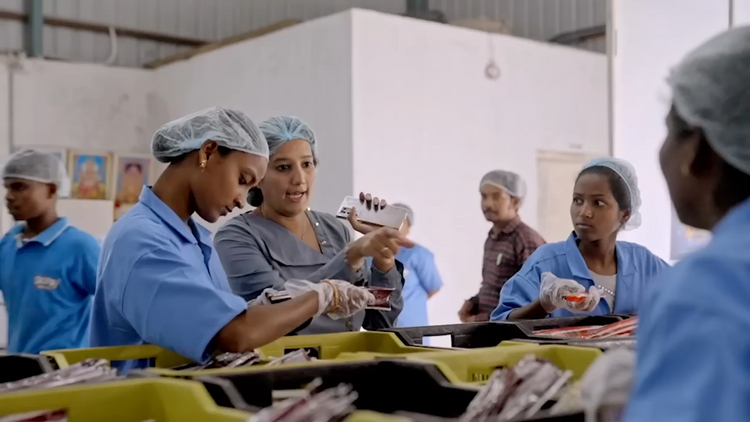 Behind the Scenes: A Day in the Life of a Skippi Ice Pop Maker